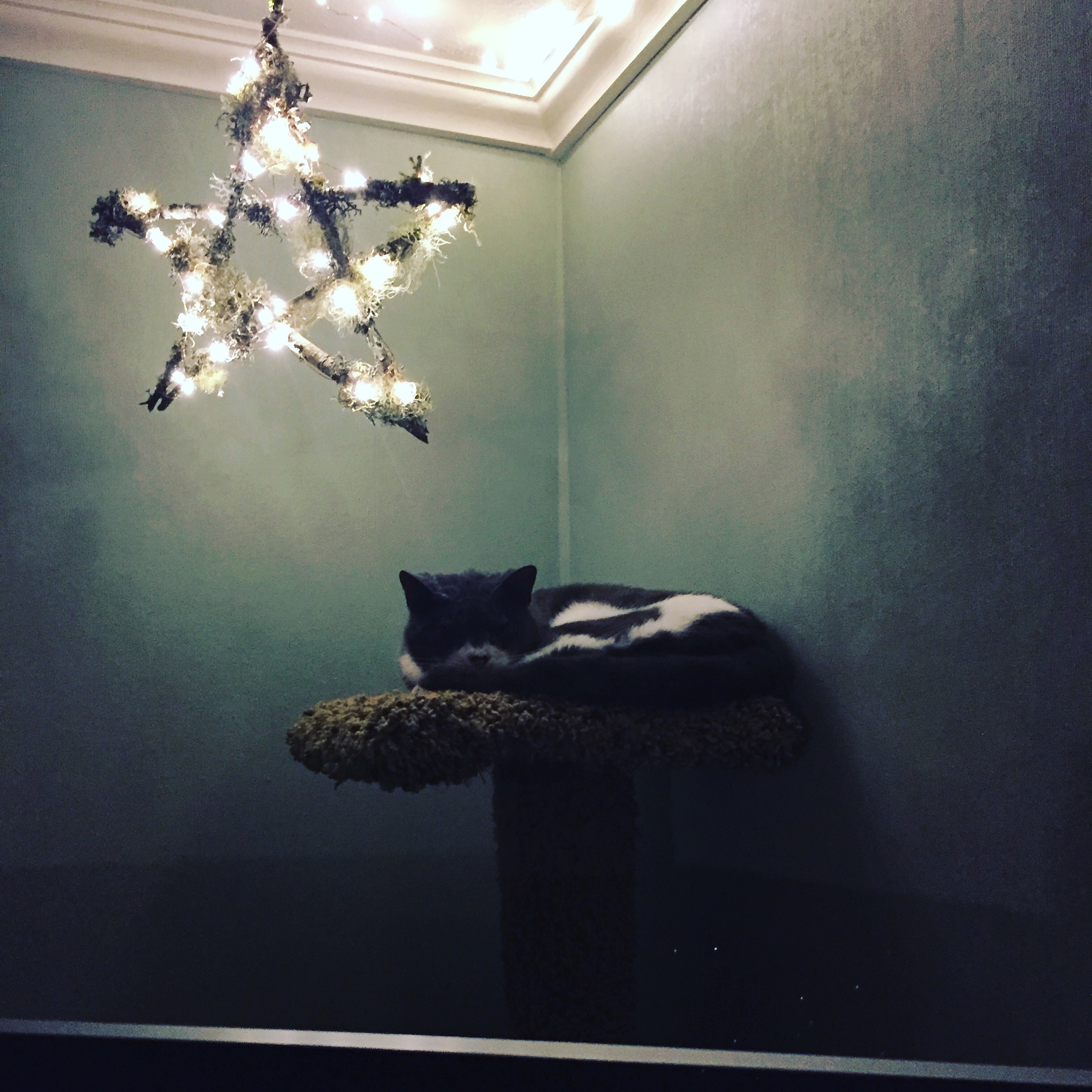 5 Ways to Honor Winter Solstice – Earth Star Healing Arts